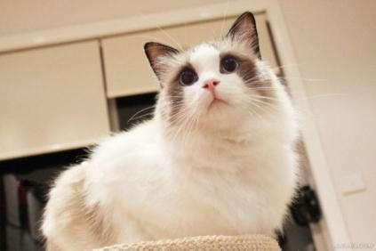 R语言笔记（五）：数据转换(dplyr) - 知乎