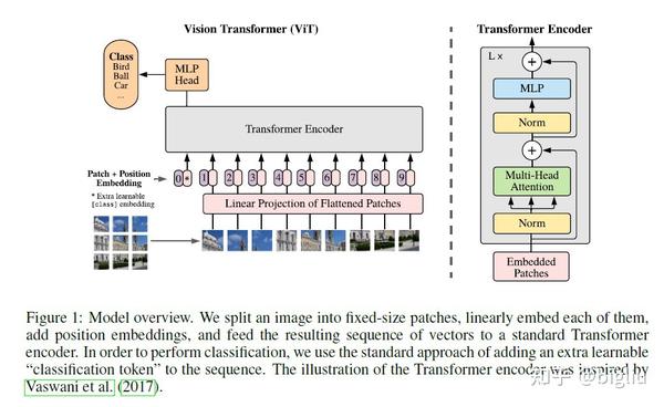 transformer ViT DERT - 知乎