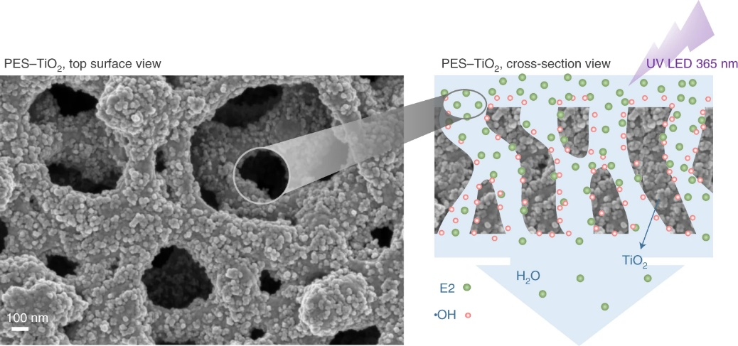光催化｜另辟蹊径，TiO2降解类固醇激素微污染物 - 知乎