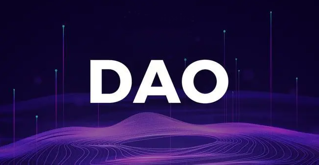 科普 | DAO保姆级入门指南 - 知乎
