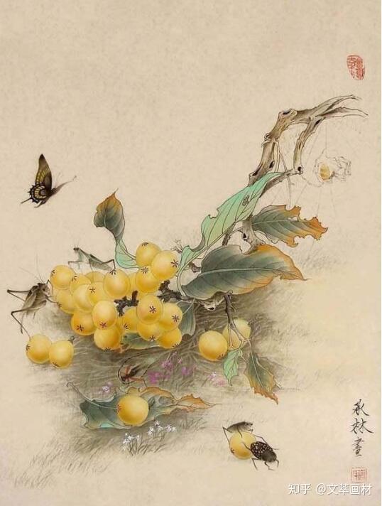枇杷已熟粲金珠，桑落初尝滟玉蛆——国画枇杷作品欣赏 - 知乎