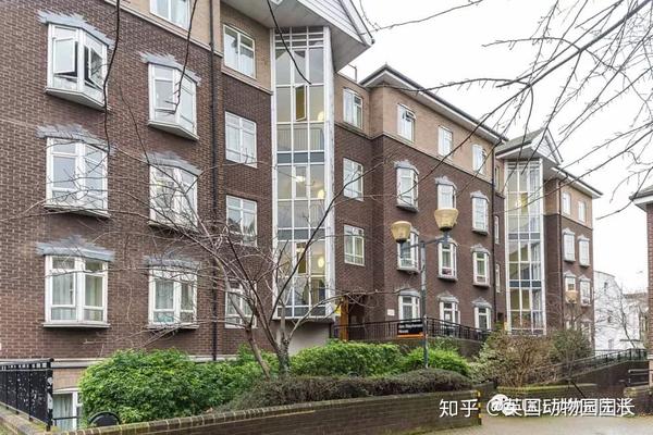 UCL宿舍揭秘：Ann Stephenson ｜Max Rayne ｜Ifor Evans Hall - 知乎