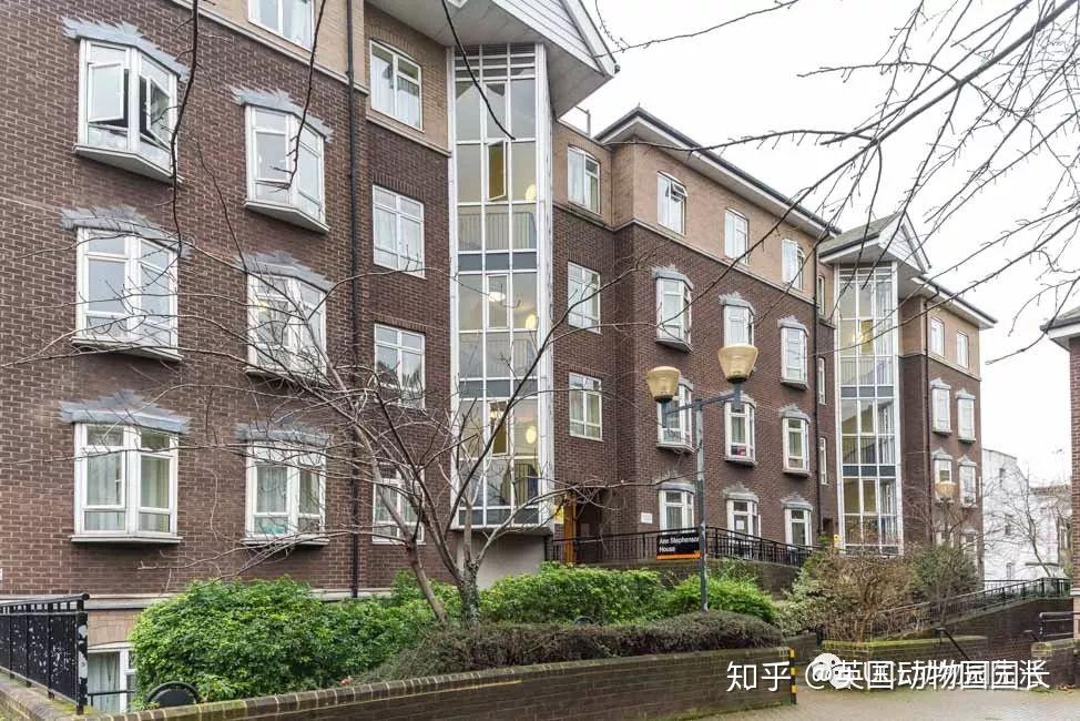 UCL宿舍揭秘：Ann Stephenson ｜Max Rayne ｜Ifor Evans Hall - 知乎