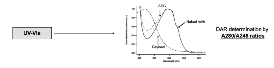 ADC药物抗体比(DAR)的表征分析方法 - 知乎