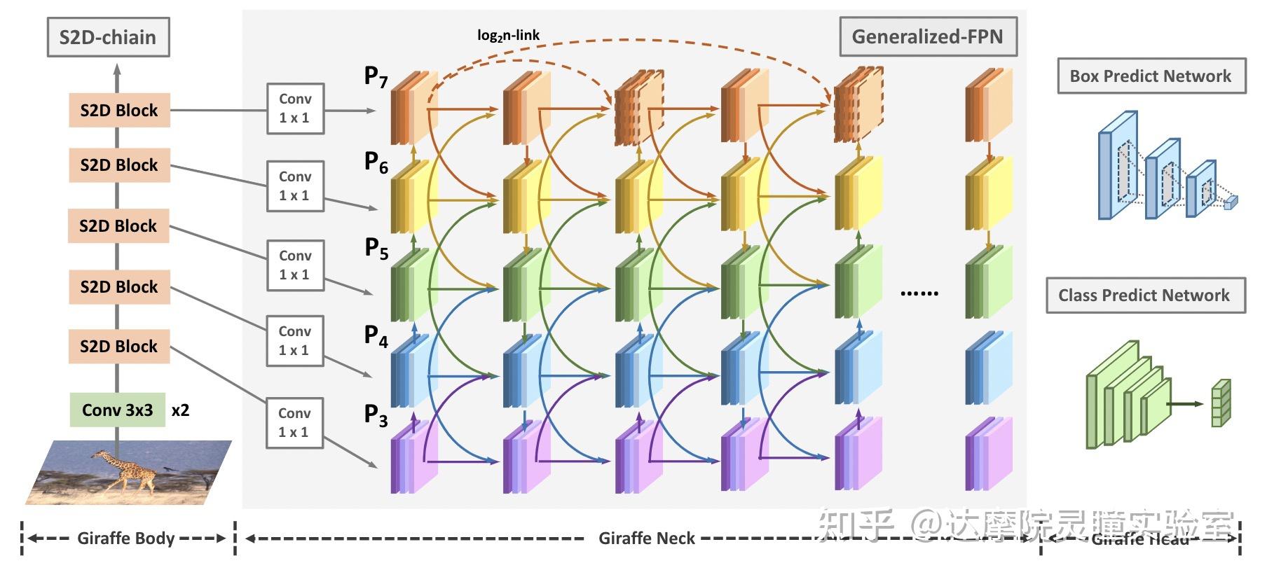 ICLR2022系列解读之三：一个新的目标检测网络结构范式GiraffeDet - 知乎