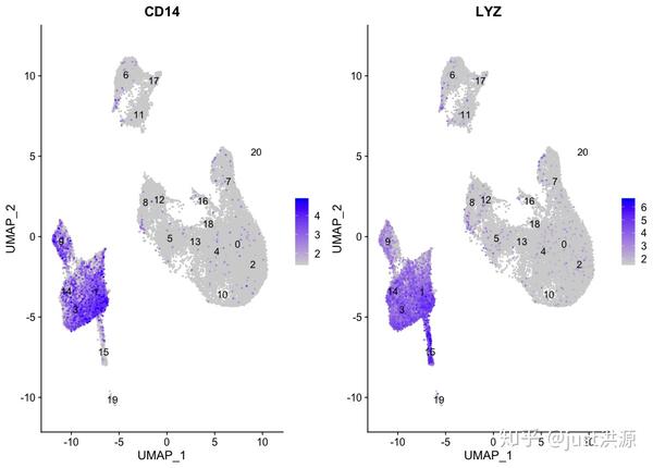 scRNA-seq入门——第七章 聚类分析 - 知乎