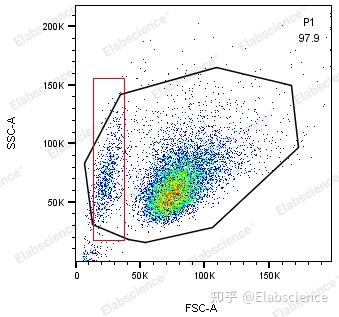 一文讲清楚：Annexin V凋亡实验注意事项 - 知乎
