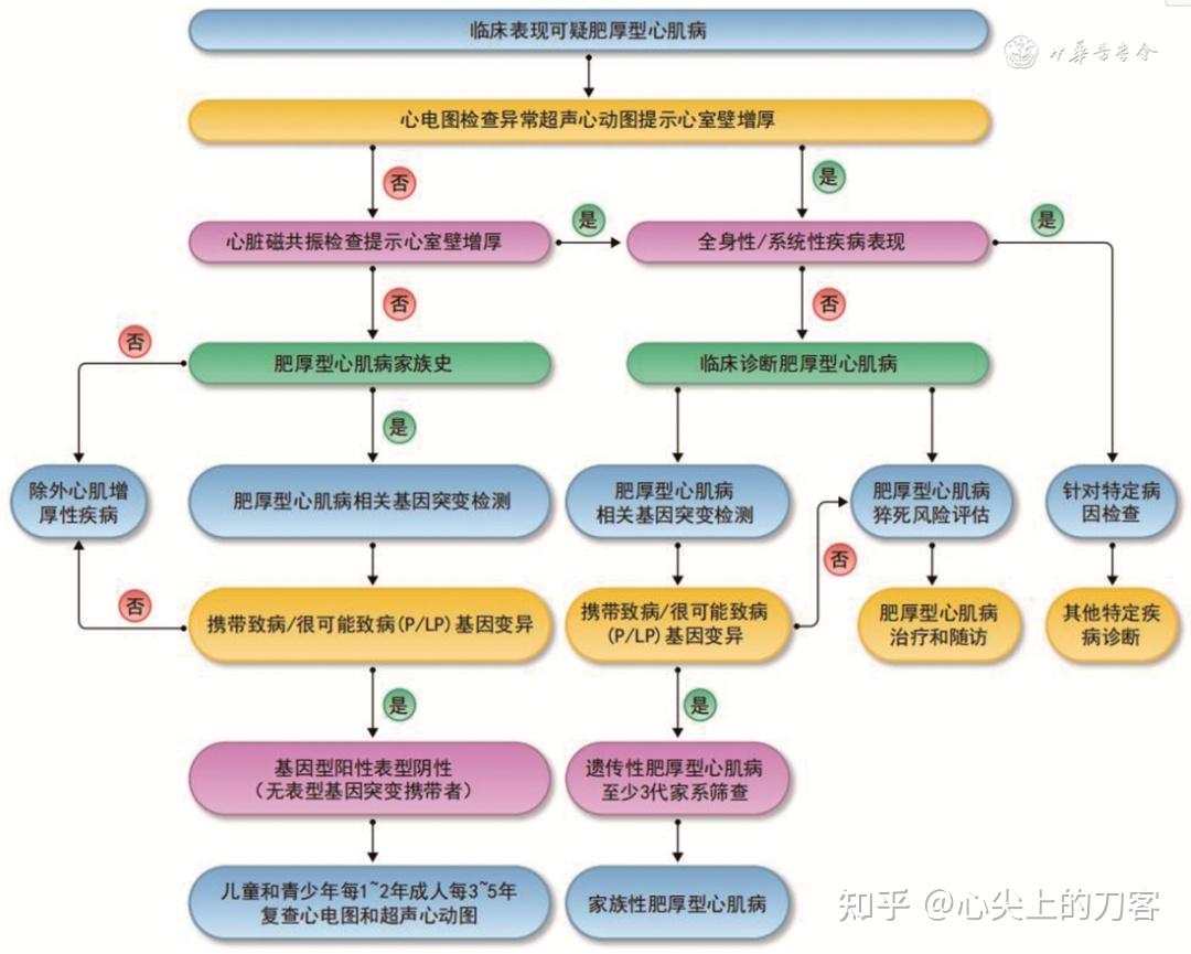 2022中国肥厚型心肌病指南 - 知乎