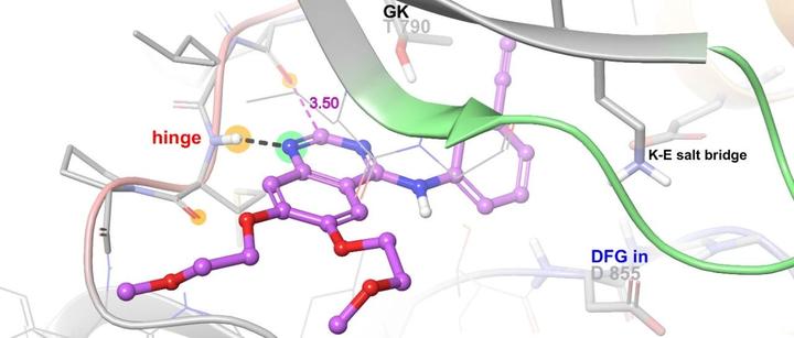 kinase结构特征及hinge-binding - 知乎