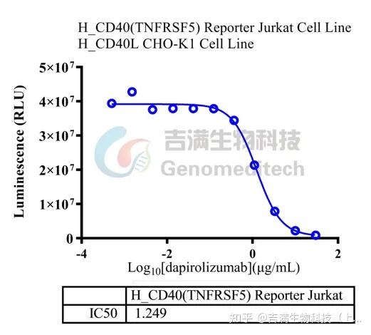 攻克CD40/CD40L，曙光已现 - 知乎
