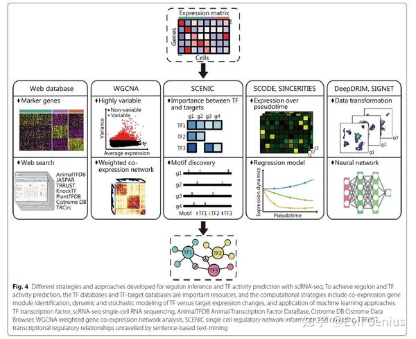 生物医学研究和临床应用中单细胞RNA-seq数据分析指南 - 知乎