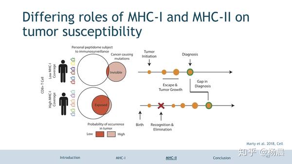 MHC在肿瘤发展过程中的作用 - 知乎
