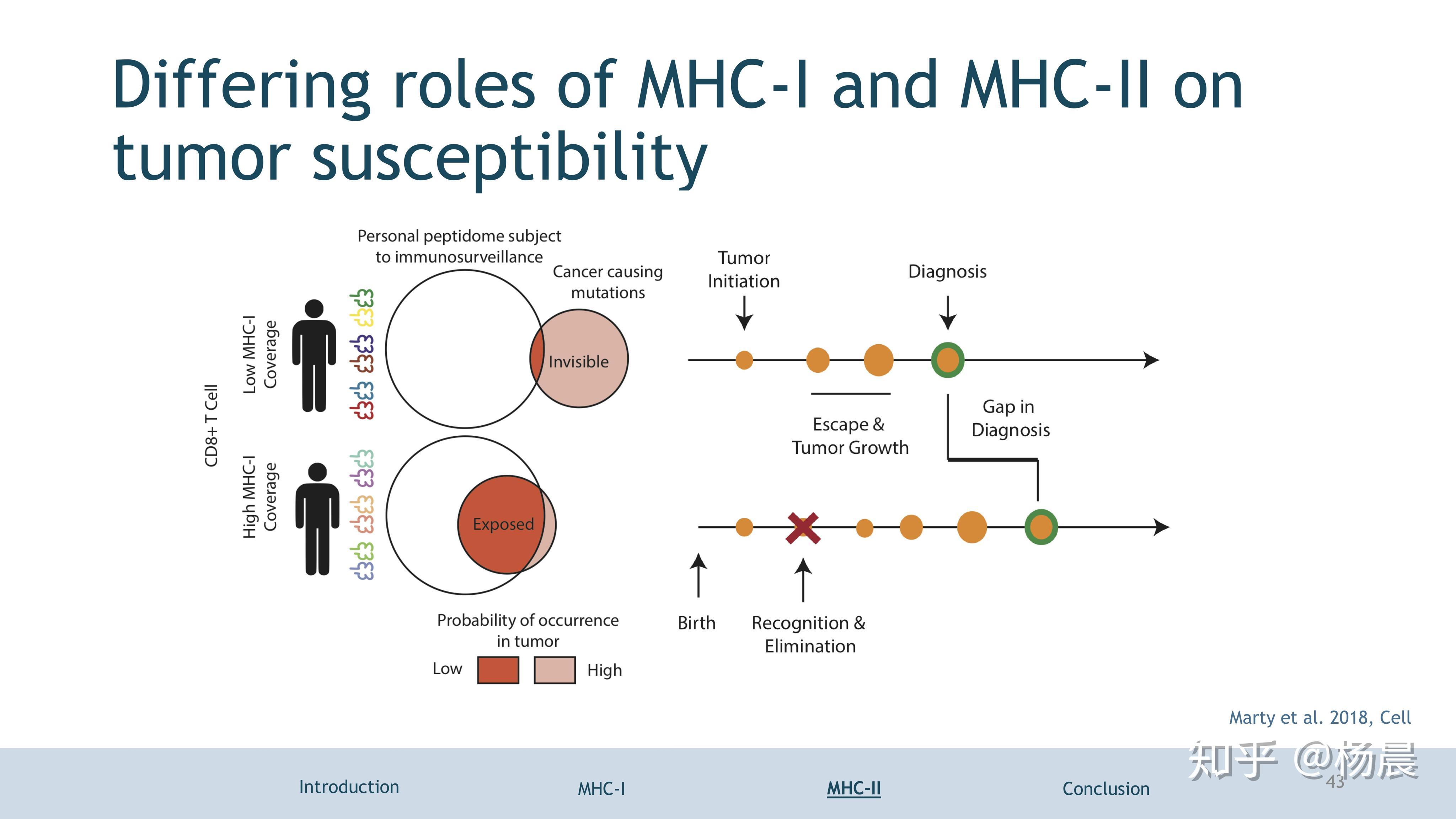 MHC在肿瘤发展过程中的作用 - 知乎