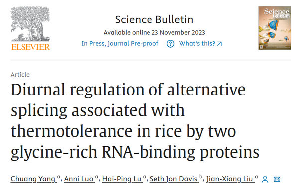 Science Bulletin | 浙江大学刘建祥团队揭示水稻高温抗性的昼夜差异调控机制 - 知乎