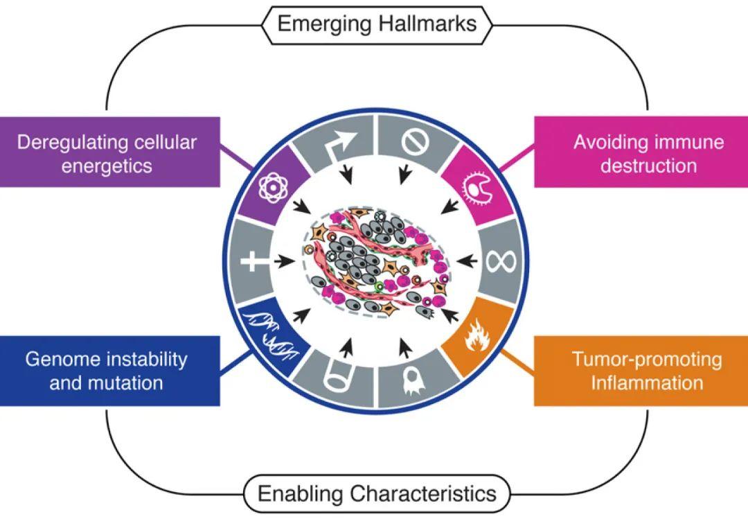 每10年一版的“Hallmarks of Cancer”牛文指引肿瘤研究热点 - 知乎
