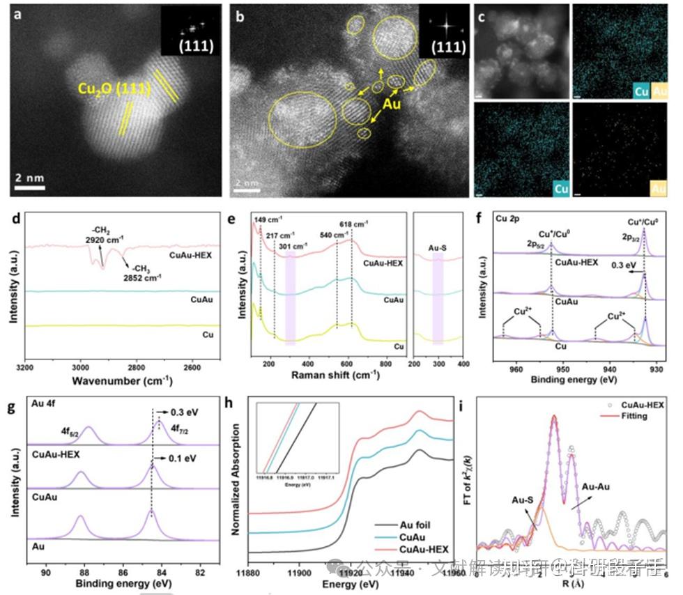德国应化：仿生猫毛--启发二氧化碳电还原 - 知乎