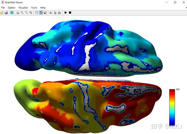 BrainNet Viewer--脑连接组可视化工具 - 知乎