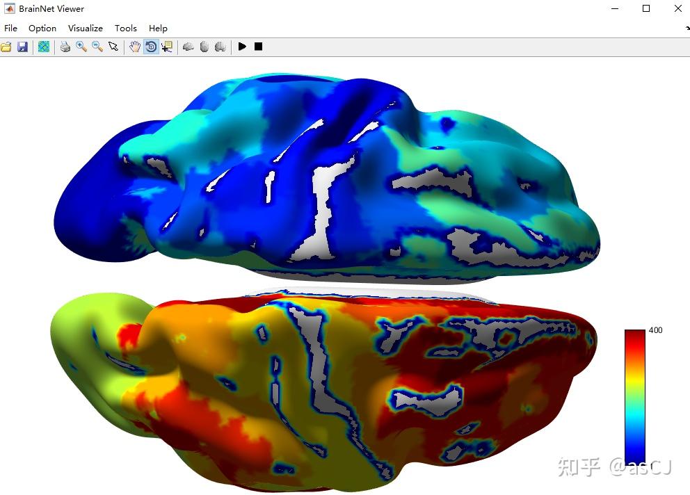 BrainNet Viewer--脑连接组可视化工具 - 知乎