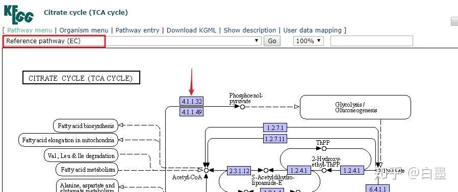 一文快速读懂 KEGG 数据库与通路图 - 知乎