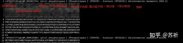 VFDB：毒力因子分析 - 知乎
