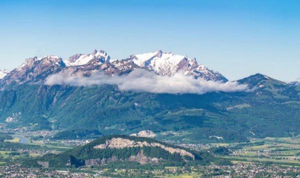 Palas® Fidas® Frog为何备受研究人员青睐？ - 知乎