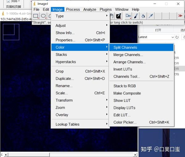 使用ImageJ读取oir文件，并导出Tiff文件方法 - 知乎
