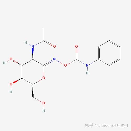 PugNAc；己糖胺苷酶A和B抑制剂 - 知乎