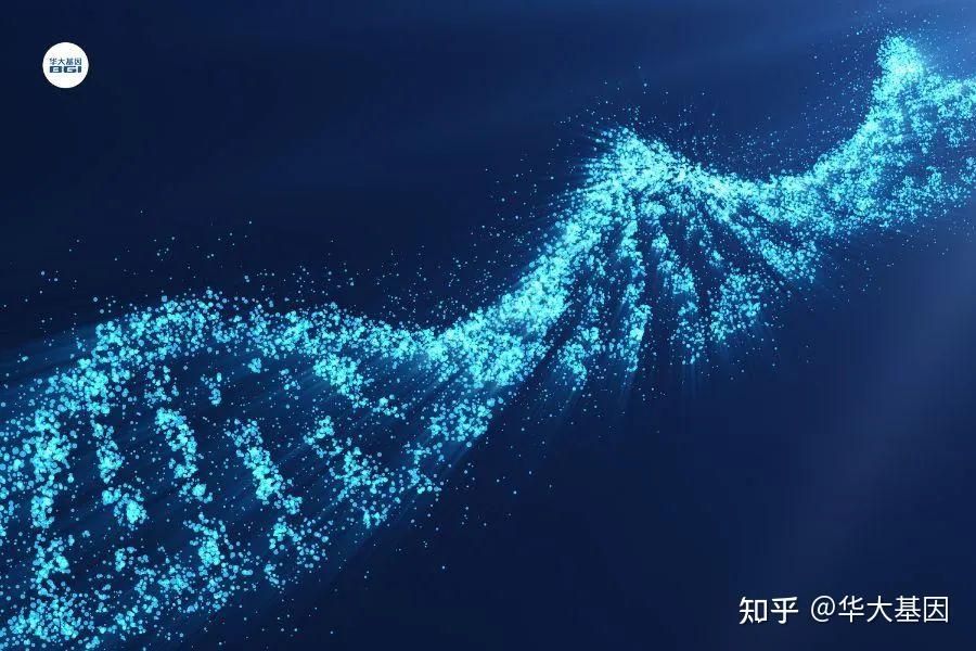 突破瓶颈！NC：华大基因高通量高精度单细胞全长isoform最新技术发表 - 知乎