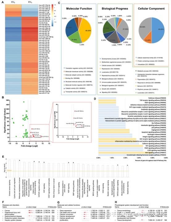 《Biomaterials》：生物活性玻璃诱导调节M2巨噬细胞极化和血管生成！改善肌腱再生和功能恢复！ - 知乎