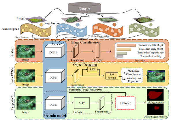 PDDD-PreTrain：一系列常用的预训练模型支持基于图像的植物病害诊断 - 知乎