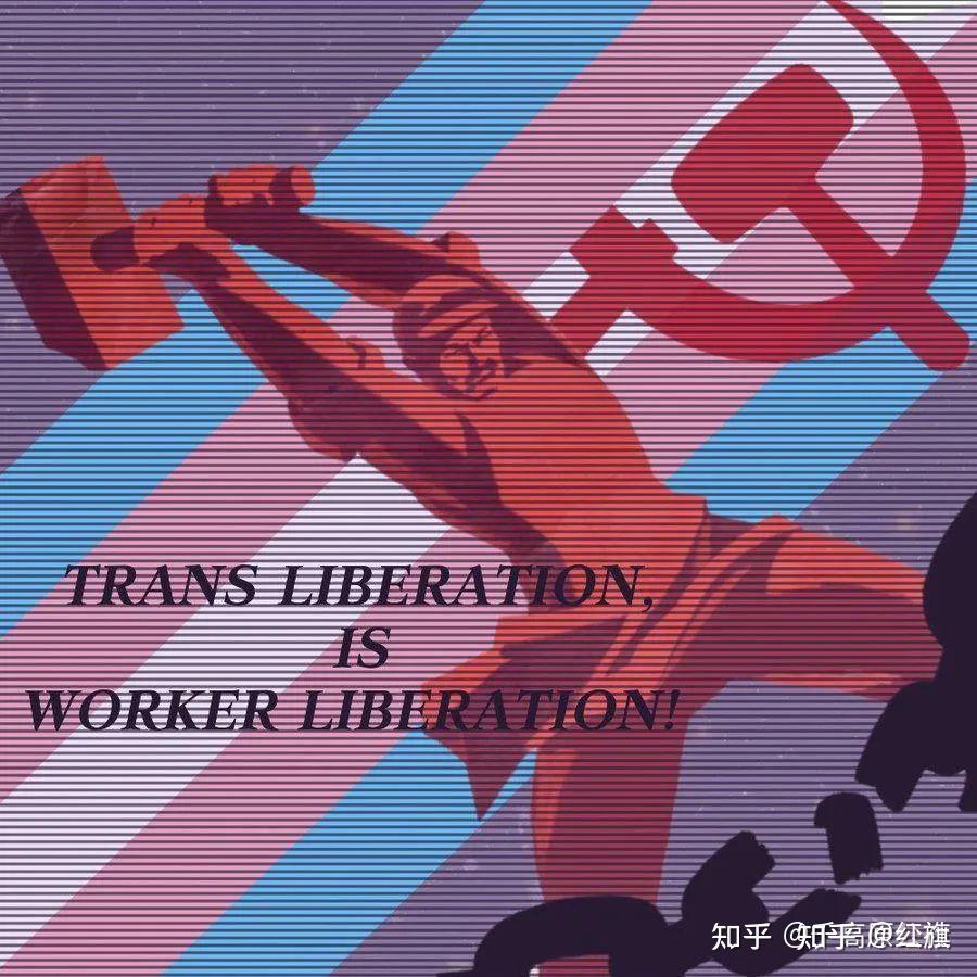 没有革命就没有跨性别者的解放。 - 知乎