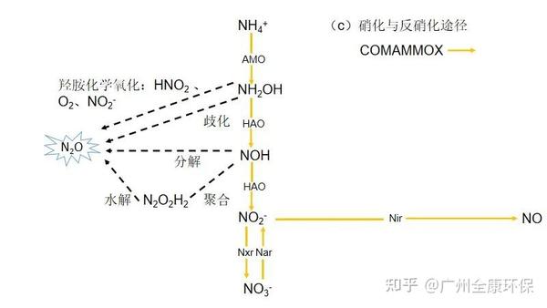 综述分析 | 污水处理过程N2O排放：过程机制与控制策略 - 知乎