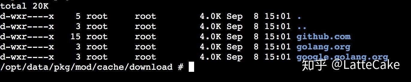 搭建私有goproxy - 知乎
