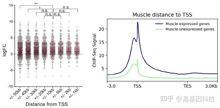 易基因：染色质免疫共沉淀测序(ChIP-seq）的数据挖掘思路 ｜干货系列 - 知乎