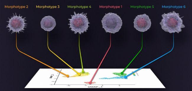 祝贺普瑞麦迪成为ThinkCyte公司VisionSort™鬼影流式细胞仪中国区总代理 - 知乎
