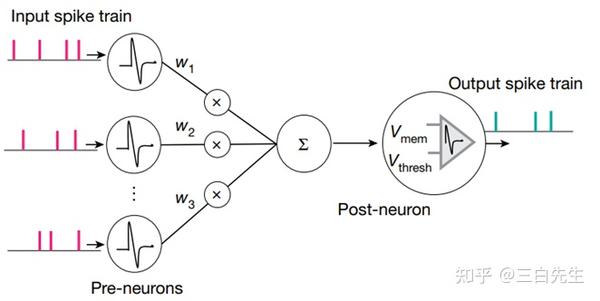 浅浅浅谈SNN - 知乎