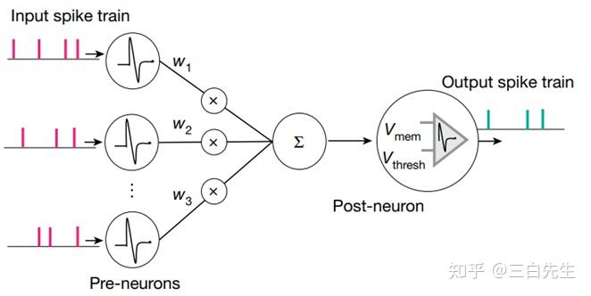 浅浅浅谈SNN - 知乎