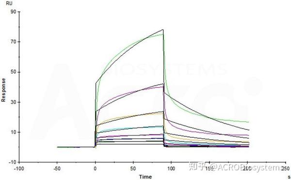 【最强组合】肺癌治疗热门靶点——DLL3 & Notch - 知乎