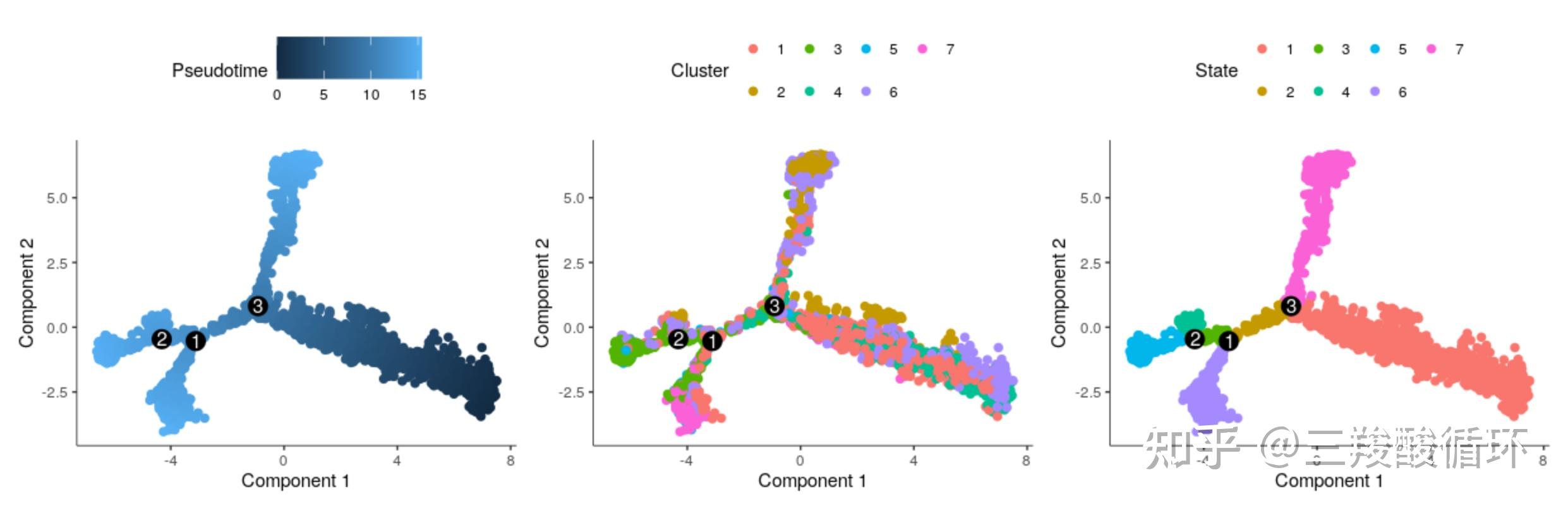 单细胞转录组分析三大 R 包之 monocle2（下） - 知乎