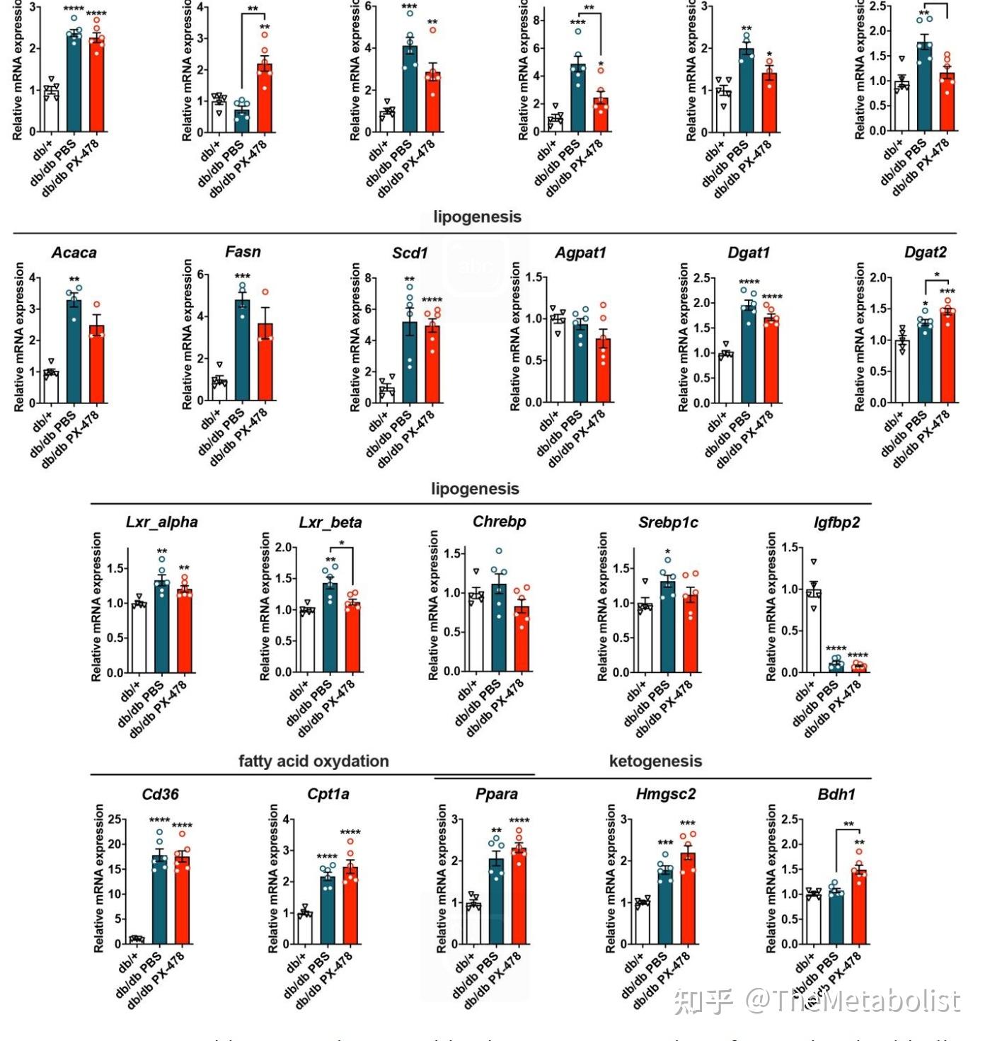 代谢学人--Science Translational Medicine：HIF-1α抑制剂PX-478保护糖尿病中的胰腺β细胞功能 - 知乎