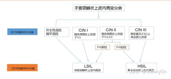 重疾险中的理赔纠纷——宫颈上皮内瘤变CIN2 CIN3 - 知乎