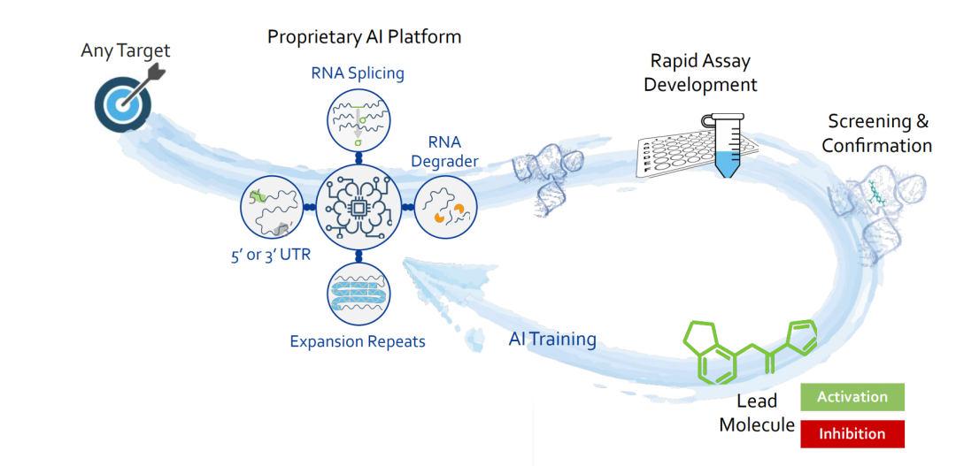 专访ReviR｜国内首家AI+RNA药物研发公司引进创新药专家Paul August，借助AI快速理解RNA，开发精准高效新疗法 - 知乎