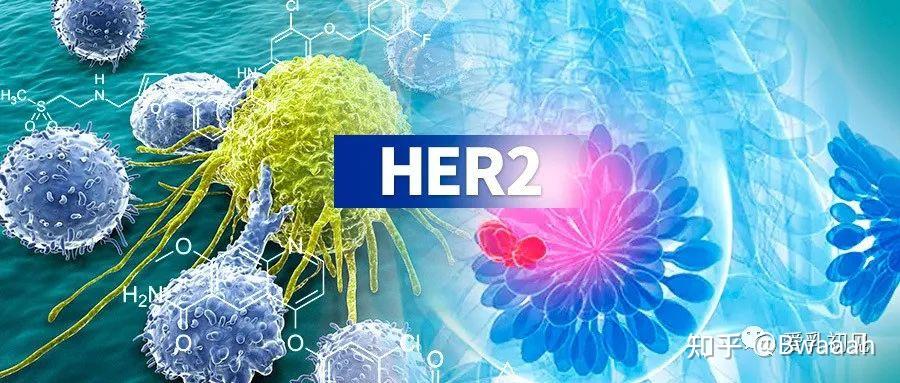 乳腺癌HER2 0、低表达和阳性哪个好 - 知乎