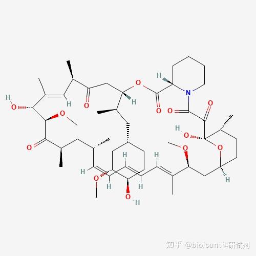雷帕霉素；mTORC1复合物抑制剂 - 知乎