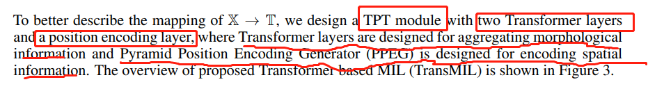 TransMIL: 基于 Correlated Multiple Instance Learning Transformer 用于 WSI ...