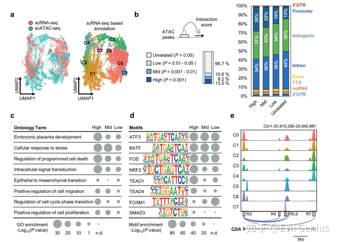 单细胞多组学（scRNA + scATAC或者snRNA + snATAC）联合分析的ATAC分析部分的解读 - 知乎