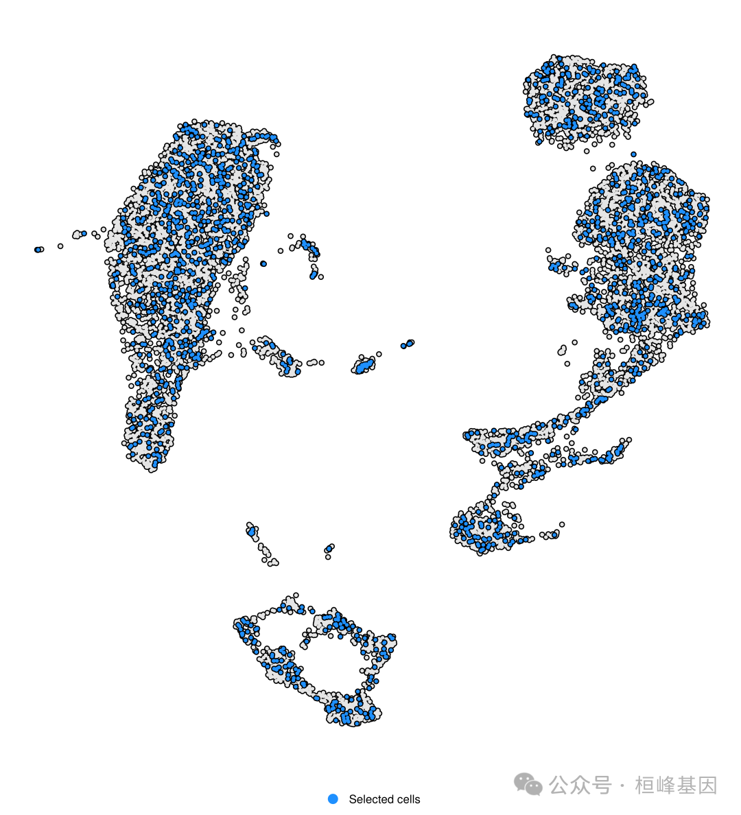 SCS【39】单细胞转录组之降维散点图的美化 (SCpubr) - 知乎
