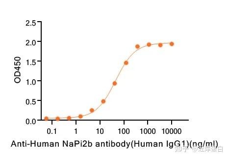 八次跨膜蛋白NaPi2b—肺癌与卵巢癌治疗的种子选手？ - 知乎