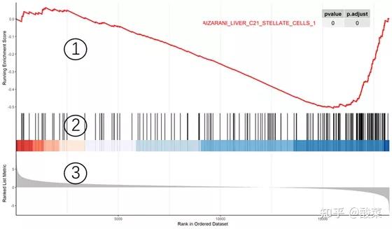史上最全GSEA可视化教程，今天让你彻底搞懂GSEA！ - 知乎