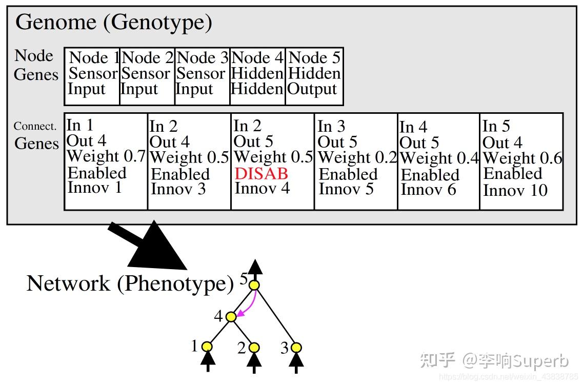 【深度学习入门到精通系列】神经进化 (NeuroEvolution) - 知乎